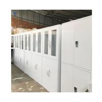 China Key Lock Or Free Mechanism Acid Storage Cabinet for Safe and Secure Laboratory Storage for sale
