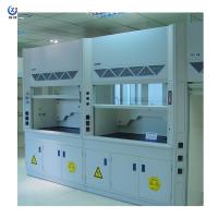 China Heat Resistant All Steel Construction Lab Fume Hood with Customizable Size for Laboratory Use for sale