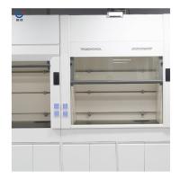 China Heat Resistant All Steel Construction Lab Fume Hood with Customizable Size for Laboratory Use for sale