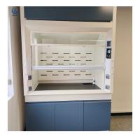 China All Steel Construction Lab Fume Hood with Customizable Size and Floor-mounted Design for Chemical Labs for sale