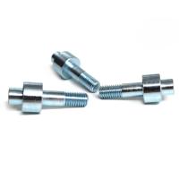 China Steel Custom Fasteners Screw Non Standard Stainless Steel Screw Bolt for sale