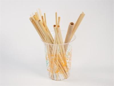China 5 To 11mm Reed Drinking Wheat Straw Sustainable Non Plastic for sale