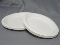 China 10