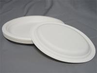 China 10
