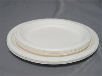 China 10