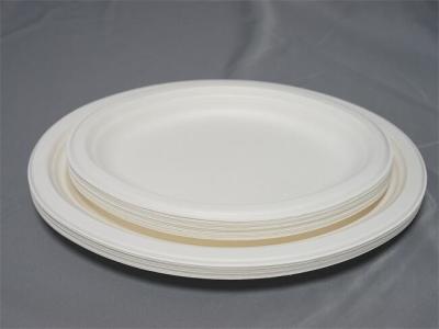 China 10