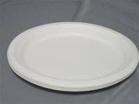 China 10