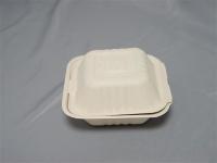 China 6