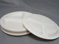 China 9