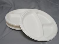 China 9