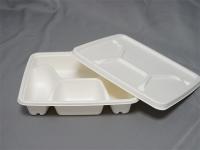 China 4 Compartment Biodegradable Sugarcane Plates for sale