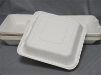 China White Hinged Bagasse Takeaway Boxes 431x199x38mm for sale