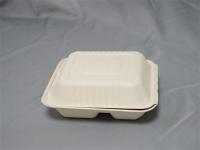 China 8