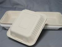 China White Hinged Bagasse Takeaway Boxes 431x199x38mm for sale