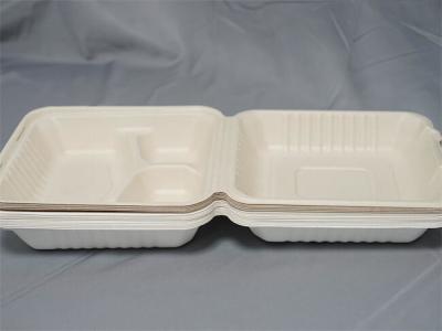 China 8