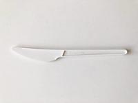 China Environmentally Friendly Disposable PLA Cutlery 6'' Takeaway for sale