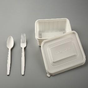 China 450ml 15oz PLA Tableware With Lid , Biodegradable Disposable Lunch Box 6.9