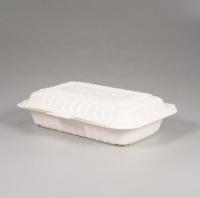 China 20 Ounce 600ml Eco Friendly Disposable Lunch Boxes Takeaway for sale