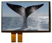 China LVDS LCD TFT Display LCD Display 7 Inch 1024x600 High Resolution for sale