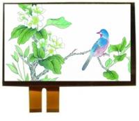 China MIPI DSI Interface LCD Display 6 Inch 720x1440 IPS OEM ODM Welcome for sale