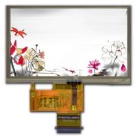China 720*1440 Full Color OLED Display 6 Inch LCD Display Full Viewing Angle for sale