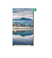 China High Performance 5 Inch VA LCD Display 800*480 With MIPI Interface for sale