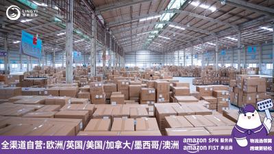 China Mexico Air General Cargo, DDP, Express Delivery (FedEx):Pickup in 19–28 calendar days after departure for sale