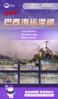 China Brazil Sea DDP Overseas Warehouse Self-Pickup:Ready for pickup in 40–55 calendar days after ETD for sale