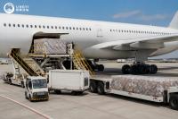 China Guangzhou (CAN) → Melbourne (MEL) | Air Transort | DDP Shipping | Oversized Cargo for sale