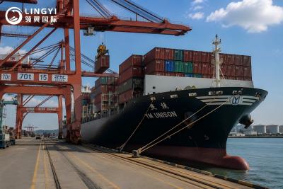 China Sea Freight | FCL(20GP 40HQ 20FR) | DDP Shipping | Oversized Cargo | China to Mexico for sale