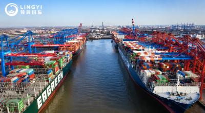 China Sea Freight | FCL(20GP 40HQ 20FR) | DDP Shipping | Oversized Cargo | China to Germany for sale