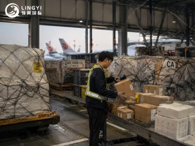 China Battery Cargo Shipping from China to Brazil | Safe Sensitive Freight | Air Freight for sale