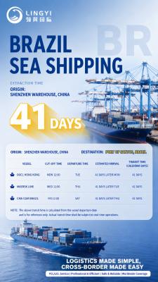 China Electric Scooter Battery Shipping | China to Brazil Fast Customs Clearance | Sea Freight for sale