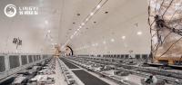 China DDP Services | International Air Cargo Shipping from China | Oversized Cargo for sale