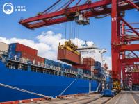 China Global Shipping China to Europe for Sensitive Cargo with DDP Door to Door Service for sale