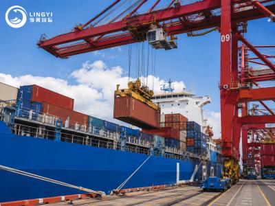China Global Shipping China to Europe for Sensitive Cargo with DDP Door to Door Service for sale
