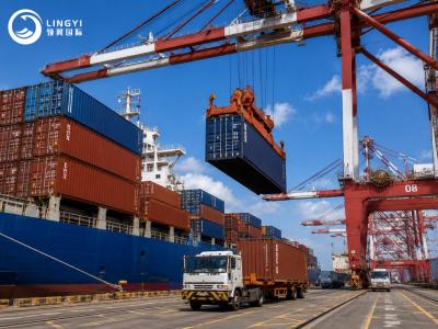China Europe Maritime Cargo Shipping Solutions Offering Customized Logistics Delivery with DDP Service for sale