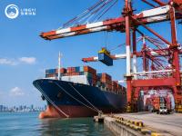 China Professional China to Europe Sea Transport Services with Custom Clearance in 35-40 Days for sale