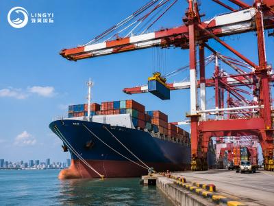 China Professional China to Europe Sea Transport Services with Custom Clearance in 35-40 Days for sale