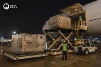 China China to Brazil Shipping DDP Door to Door | FCL, LCL, Heavy Equipment Logistics for sale
