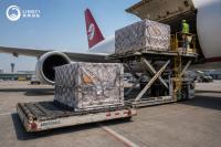 China Fast China to Brazil Air Freight DDP Service | Industrial Equipment, Spare Parts and Commercial Cargo Delivery for sale
