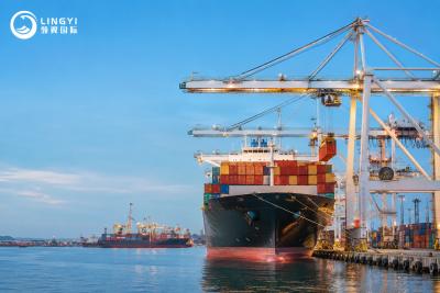 China China to Brazil Container Shipping DDP | Fast Transit, Competitive Rates and Reliable Door-to-Door Service for sale