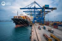 China Heavy Equipment Shipping from China to Brazil | DDP Logistics for Industrial and Construction Machinery for sale