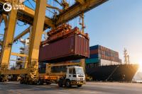 China ONE MSC Carrier Shipping Service From China With FCL LCL Container Shipping Service for sale