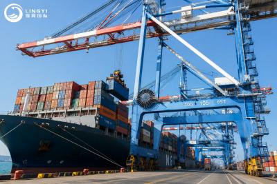 China Destination Storage Ocean Freight Companies With FOB EXW CIF DDU DDP Trading Terms for sale