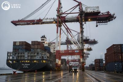 China Global International DDP Sea Shipping From China To Australia With Insurance Service for sale