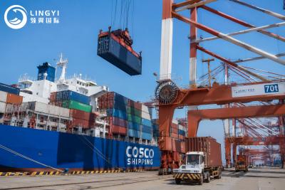 China Door To Door Ddp Sea Freight With Destination Storage In 30 Days Shipment Dispatch Time for sale