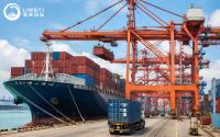 China A Class Sea Cargo Shipping With Professional Logistics Service with Fast Custom Clearance for sale
