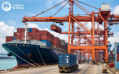 China A Class Sea Cargo Shipping With Professional Logistics Service with Fast Custom Clearance for sale