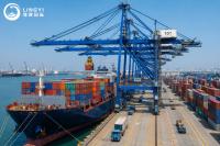 China All Lines Logistics DDP Sea Shipping With Professional Tracking Service for UK for sale